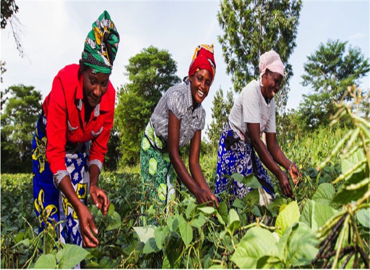 FOOD SECURITY - Vitalaid & Women